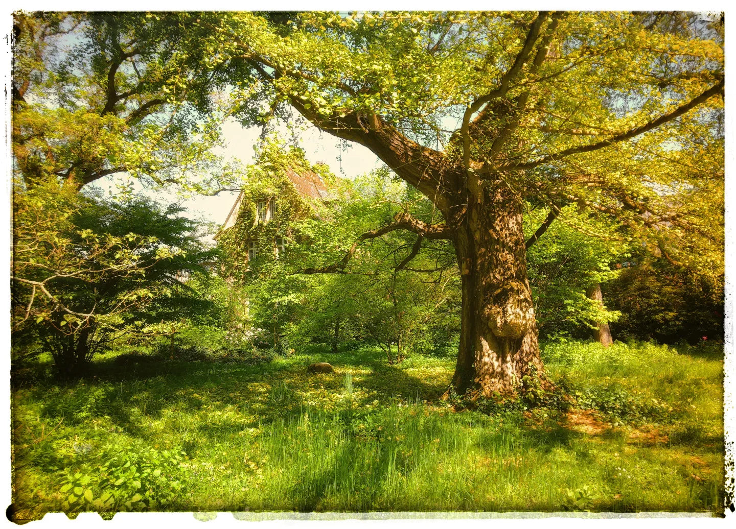 Is the Paper Shoot Camera Worth It? Everything You Need To Know – Paper ...