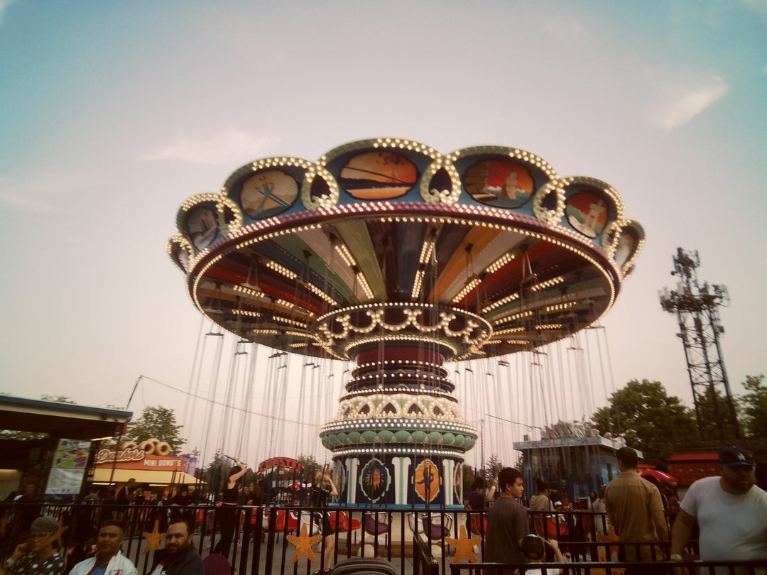 Paper Shoot Camera Photo Examples – Paper Shoot Official