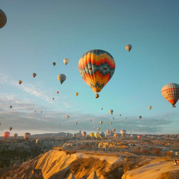 Paper Shoot Camera Photo Examples – Paper Shoot Official